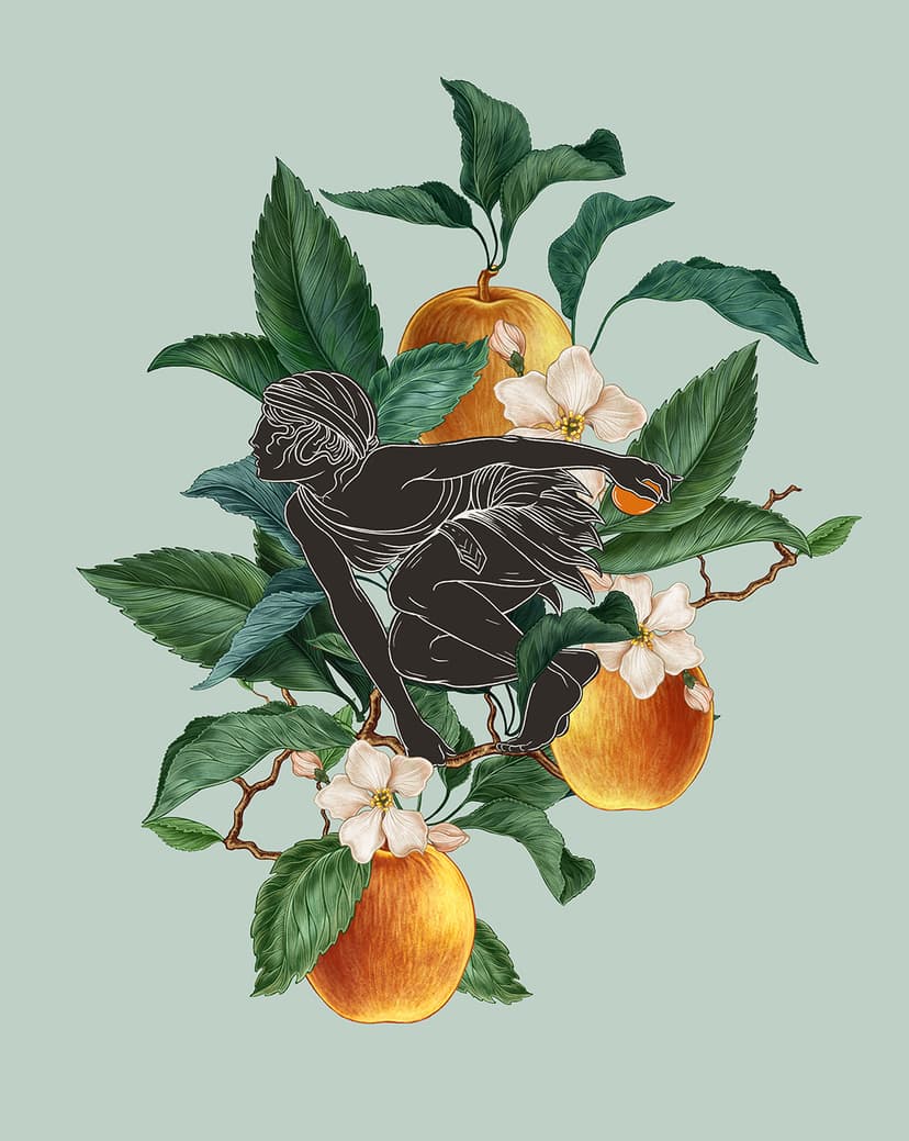 Lisel Ashlock | The Loud Cloud Illustration Agency